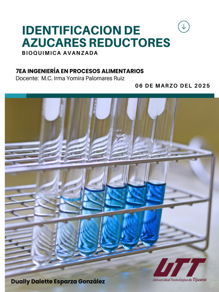 Identificacion de Azucares Reductores | PDF | Carbohidratos ...
