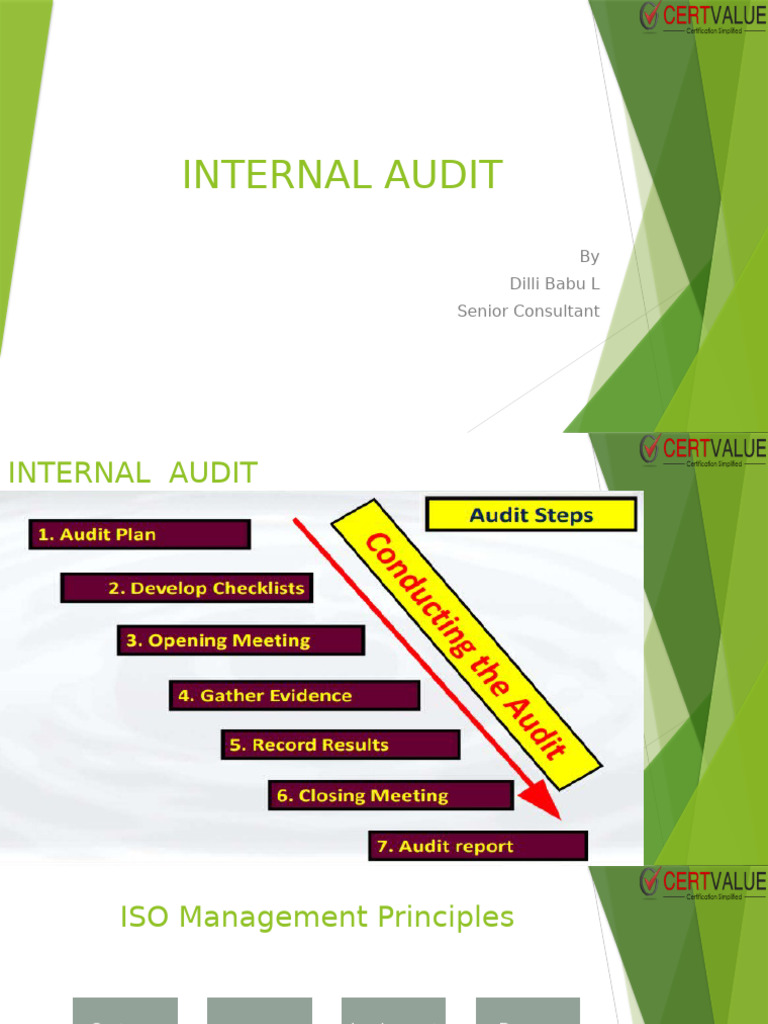 Internal Audit Process and Guidelines | PDF | Audit | Internal Audit