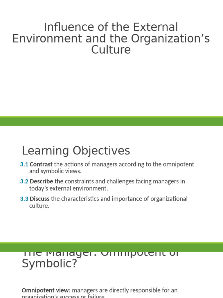 External Environment | PDF | Organizational Culture | Creativity