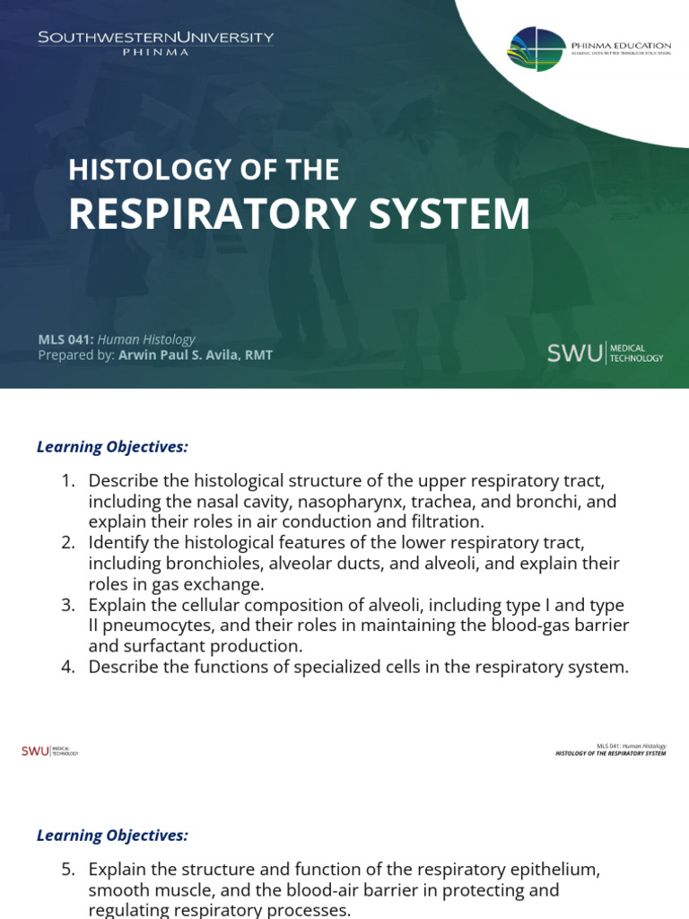 Respiratory System Histology Overview | PDF | Respiratory Tract ...