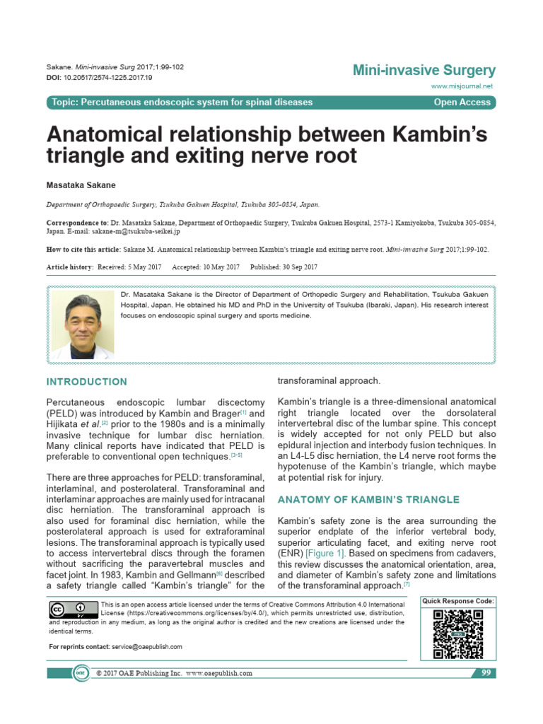 Anatomical Relationship Between Kambin's Triangle and Exiting Nerve ...