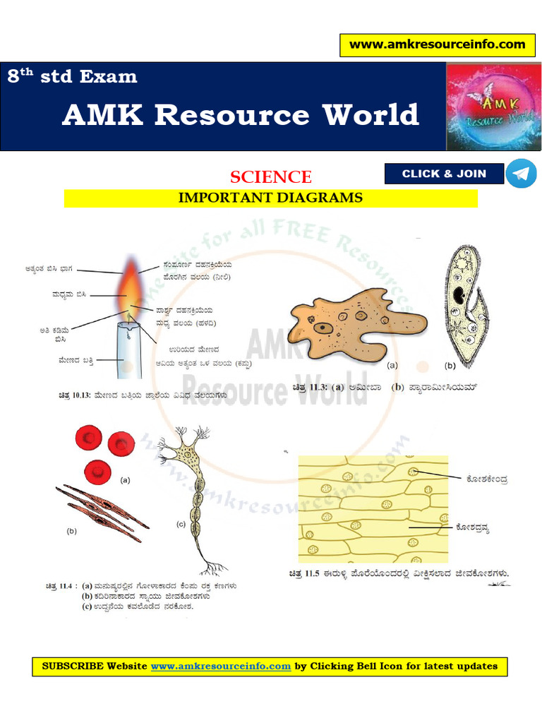Important Science Diagrams for Study | PDF