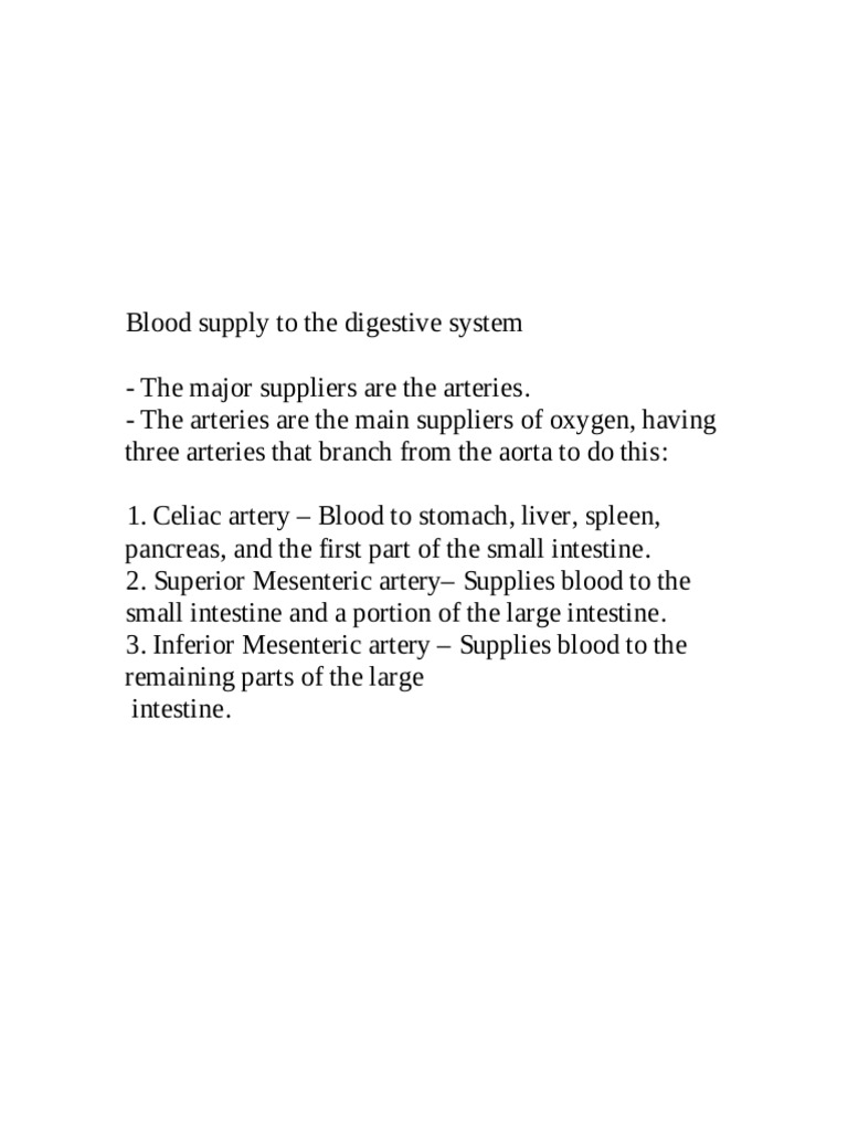 Blood Supply of the Digestive System | PDF | Vein | Circulatory System