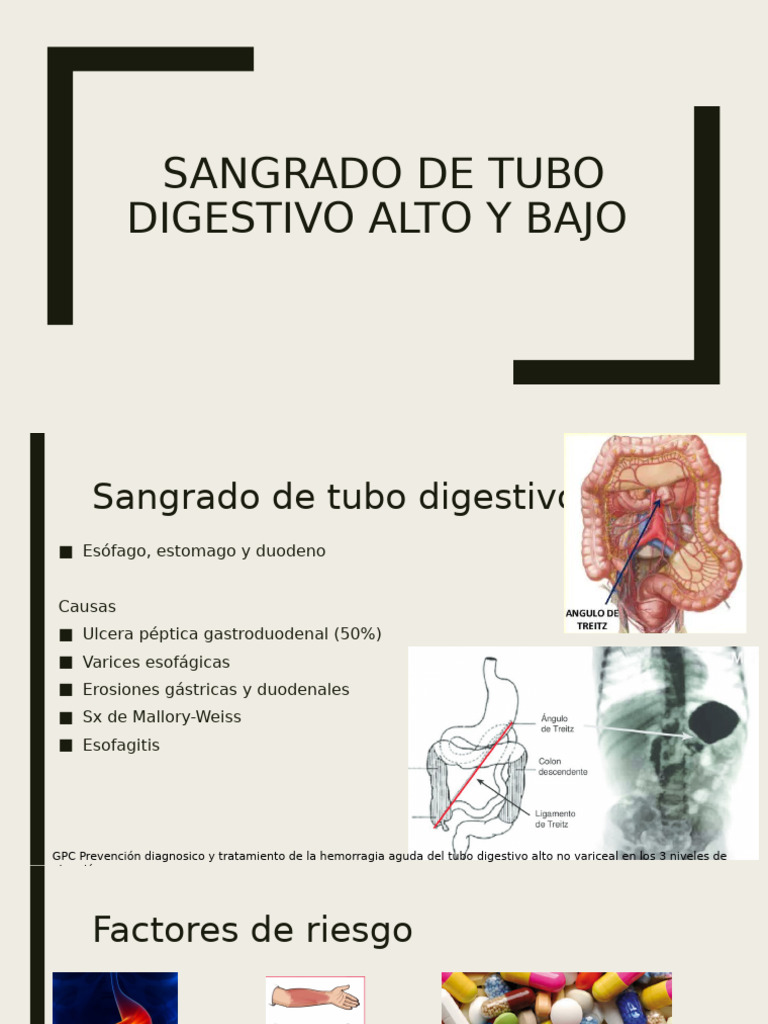 HDA y HDB | PDF | Gastroenterología | Enfermedades digestivas