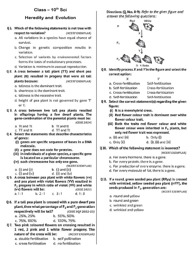Heredity and Evolution 10th sci | PDF