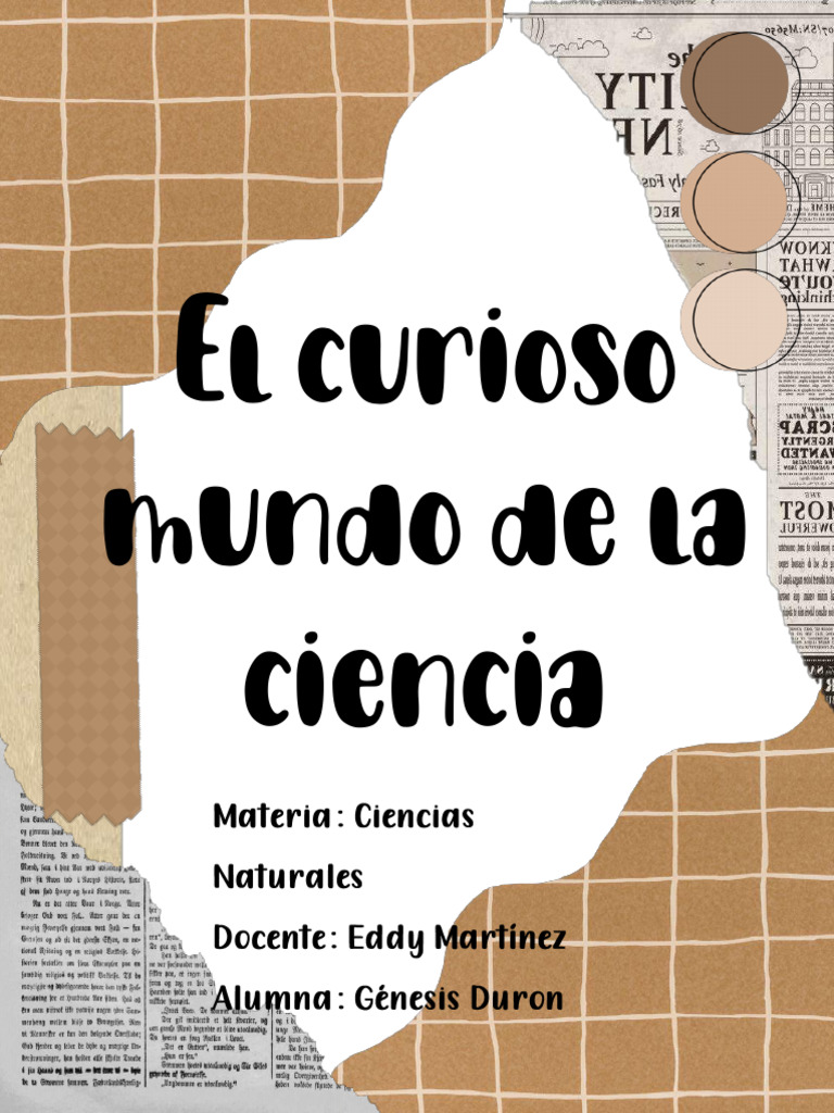 Revista Tercer Parcial | PDF
