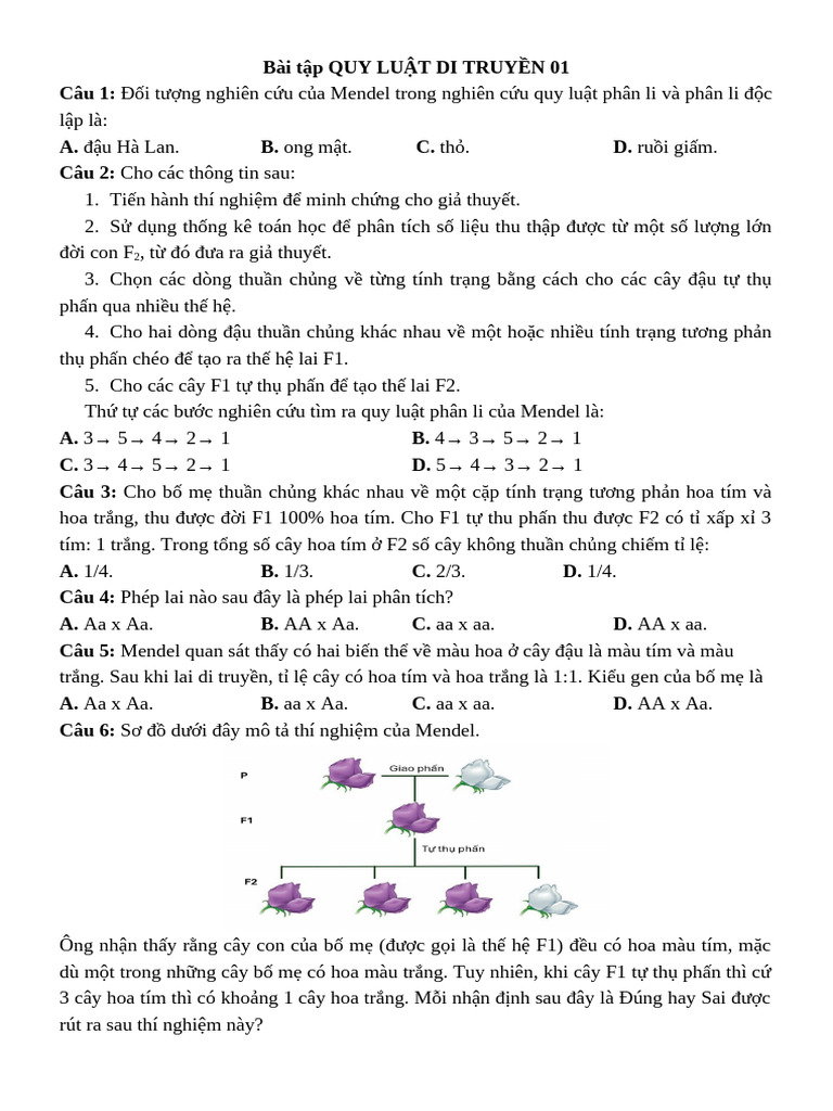 TN QLDT 24 25 Hs | PDF