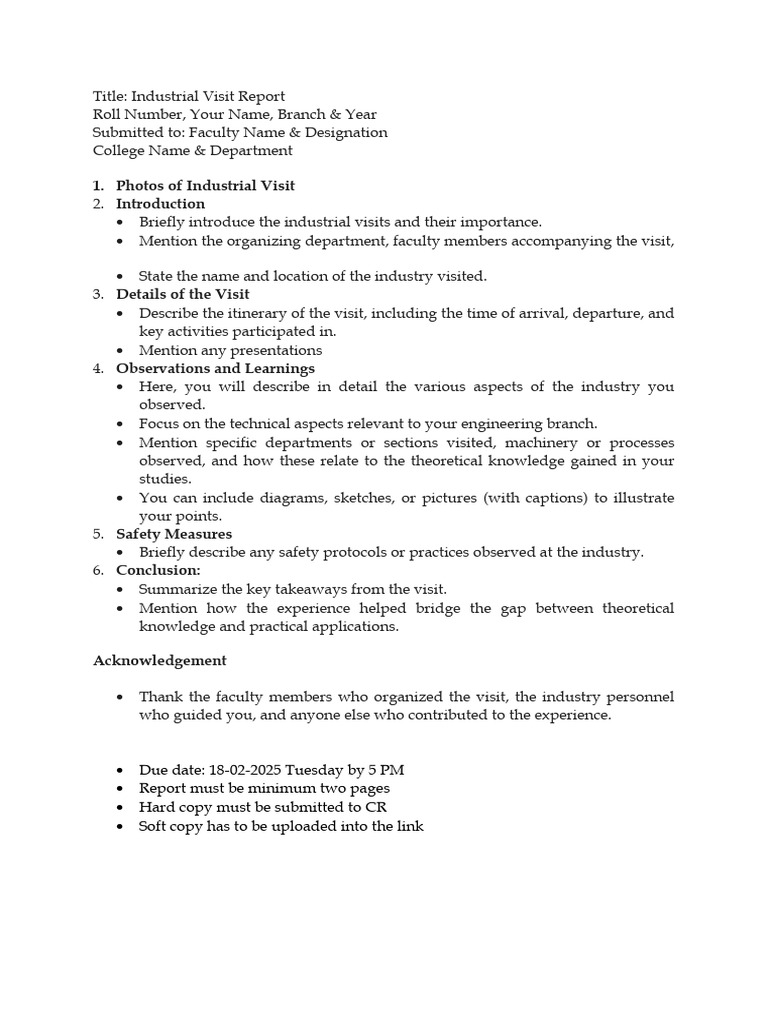 IV Report Format | PDF