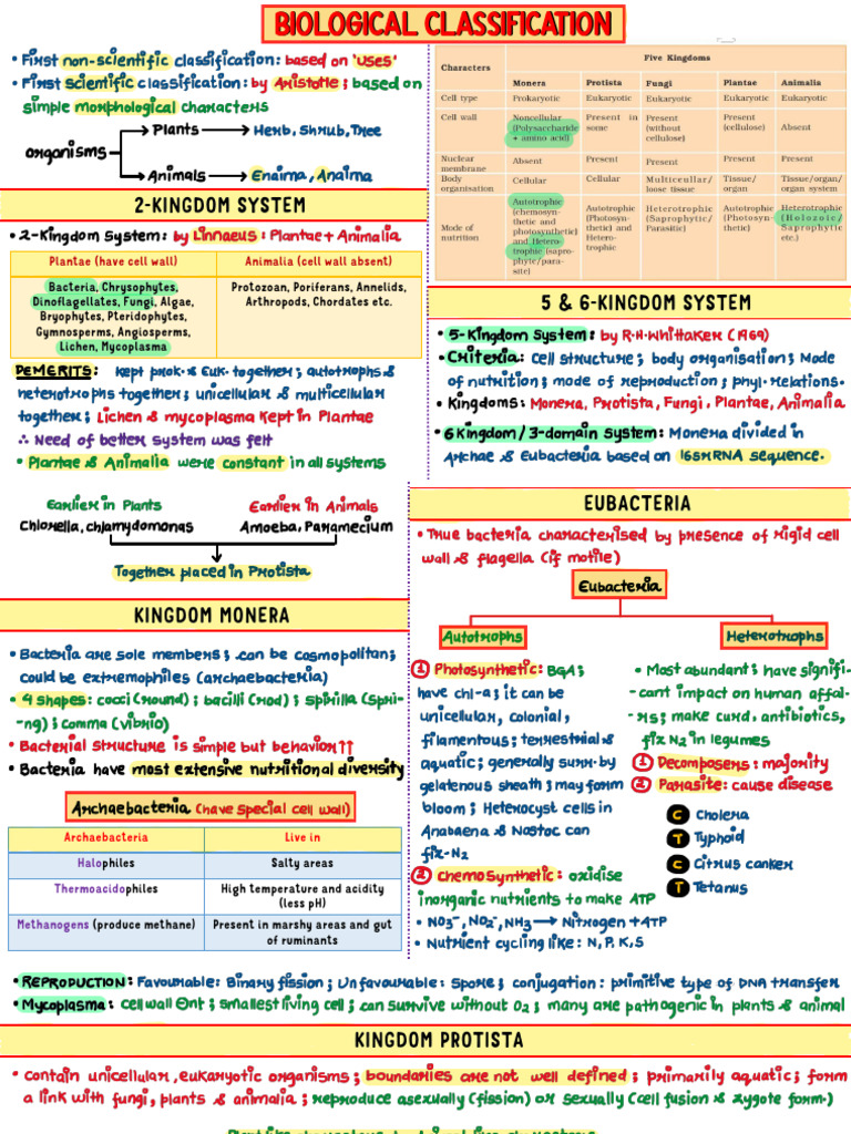 Biological Classification (1) | PDF | Protozoa | Cell Wall