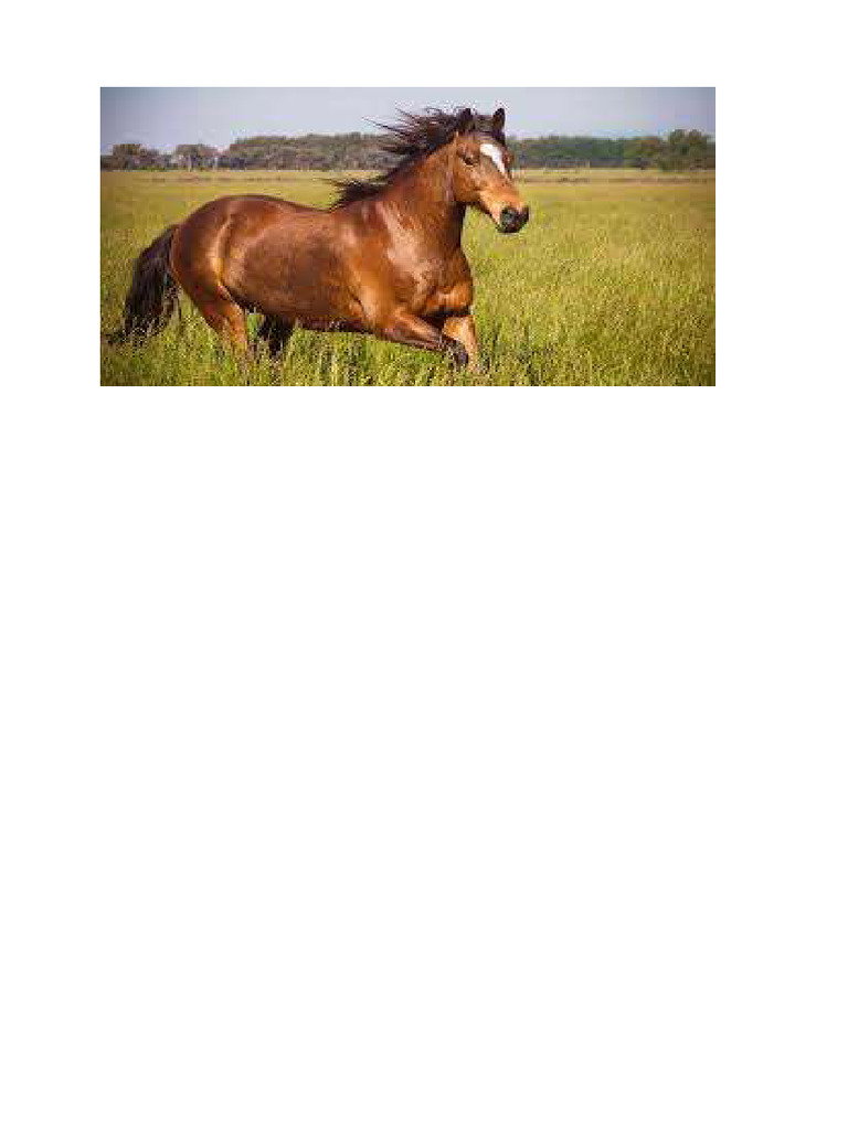 HOURSE | PDF