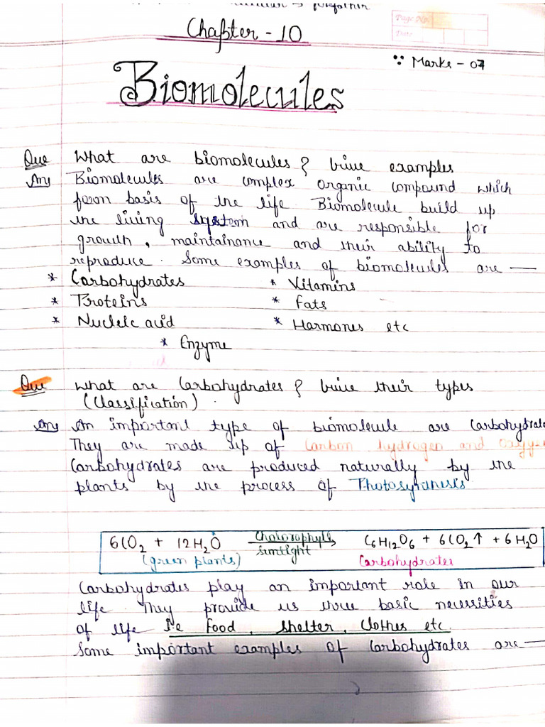 Biomolecule Chapter 10 | PDF
