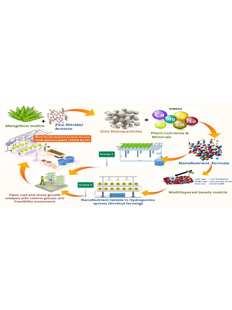 Hydroponics Flow Chart | PDF