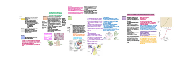 Lymfsystemet + Lymfkärl + Reglering | PDF