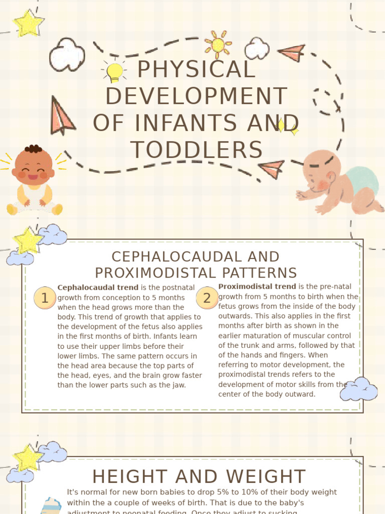 Physical Development of Infants and Toddlers | PDF | Infants | Nervous System