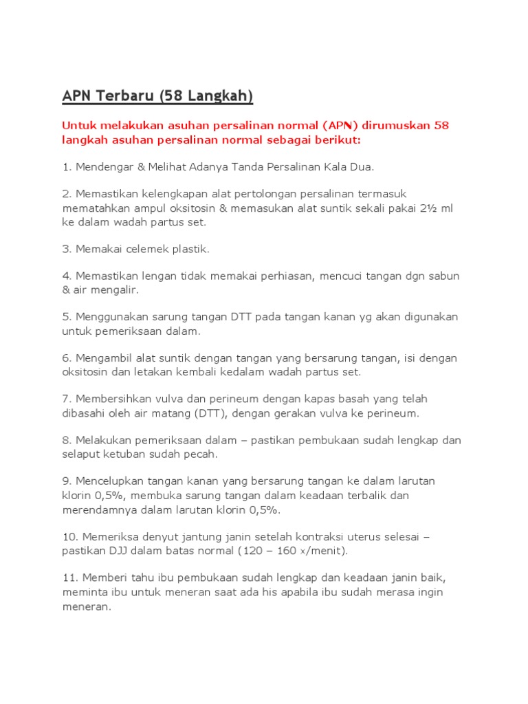 58 Langkah APN | PDF