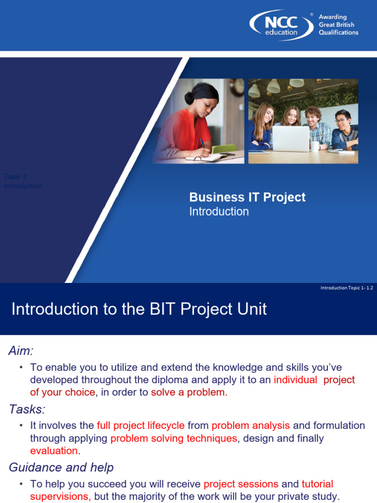 BITP Topic 1 Introduction | PDF | Risk | Databases