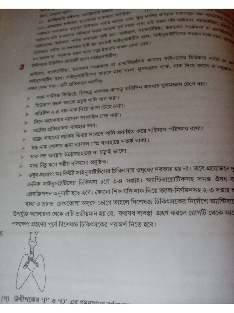 Image to PDF 20250311 14.04.31 | PDF