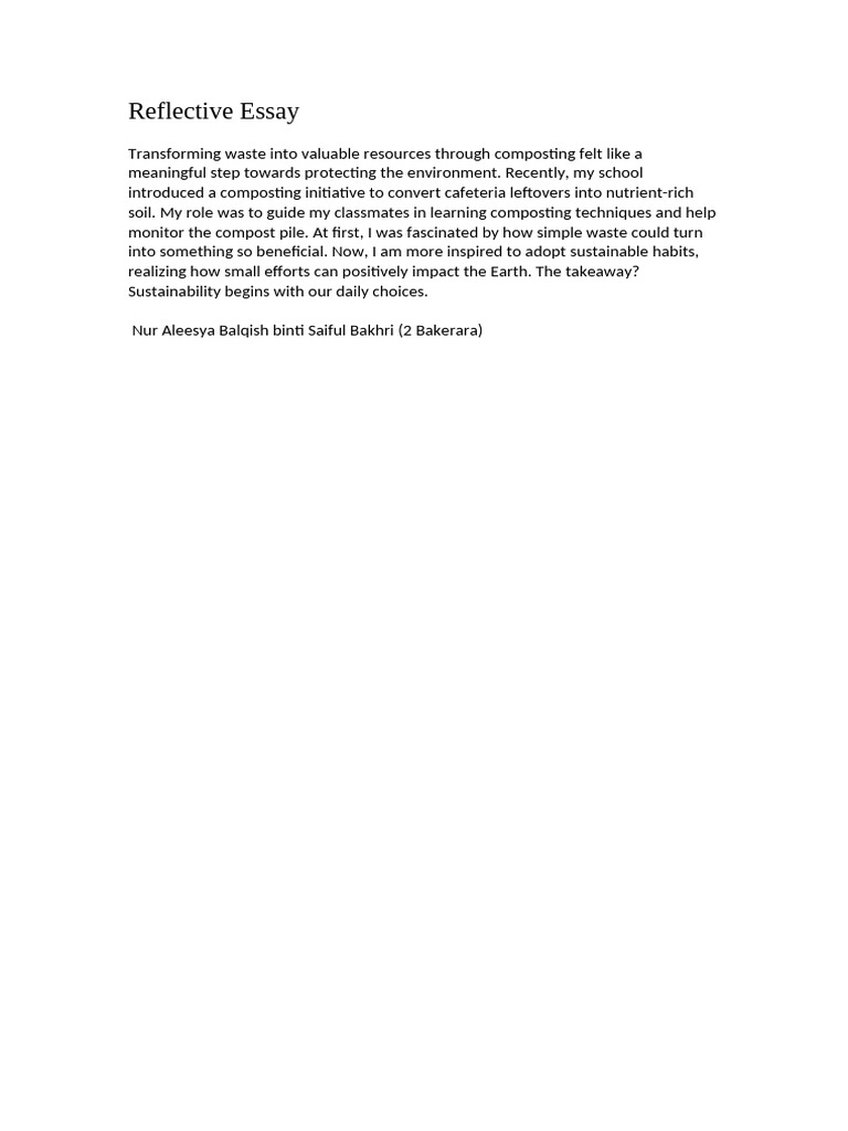 Reflective Essay | PDF
