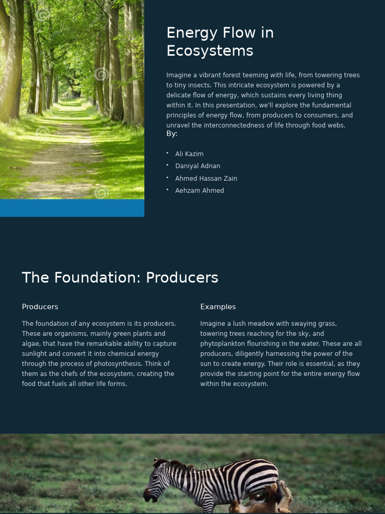 Energy Flow in Ecosystems | PDF | Food Web | Foods