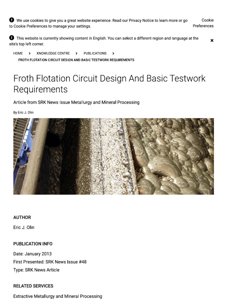 Froth Flotation Circuit Design and Basic Testwork Requirements - SRK ...