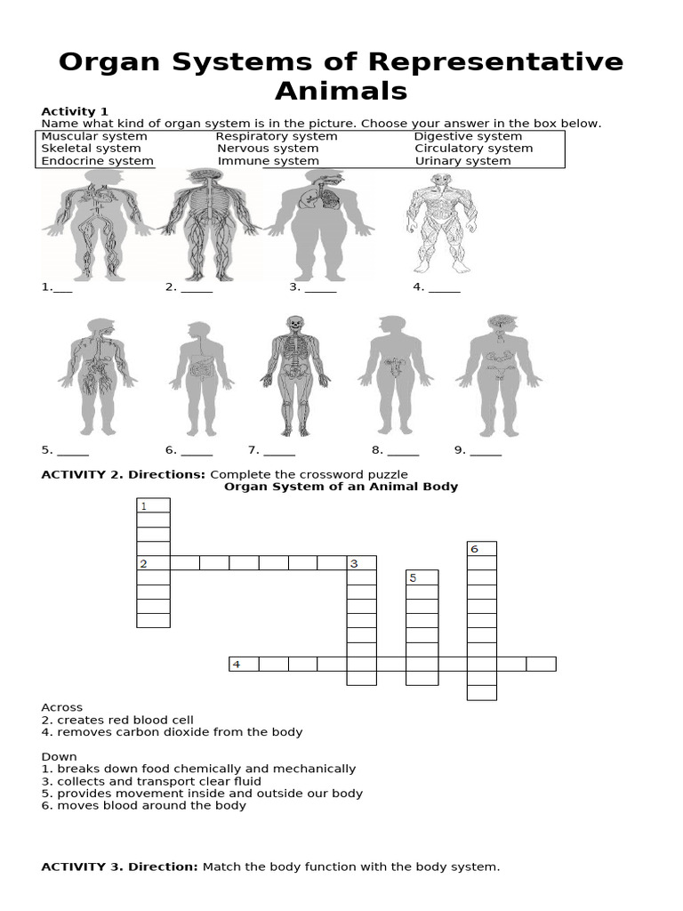 Organ Systems Activity Answer Key | PDF | Human Body | Morphology (Biology)