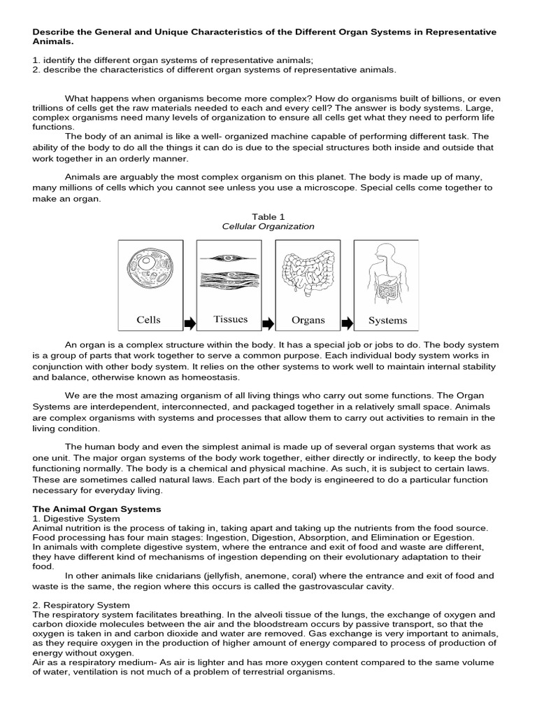 LESSON 5 Organ Systems of Representative Animals | PDF | Nervous System ...