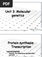 Transcription With Diagrams | PDF | Rna | Dna
