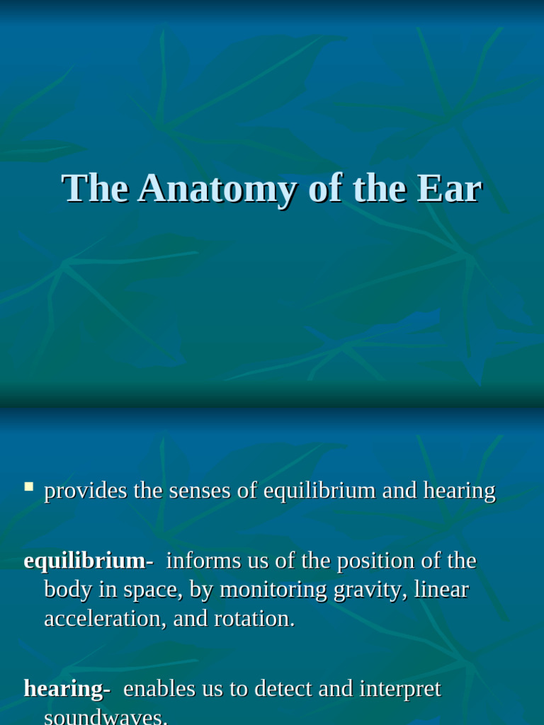 Ear Anatomy: Structure and Function | PDF | Ear | Hearing