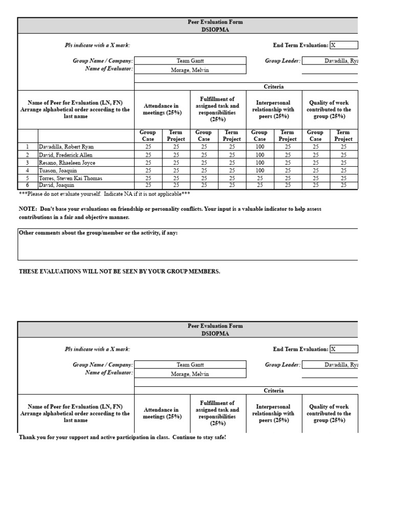 Peer Evaluation Form for Group Projects | PDF | Social Psychology