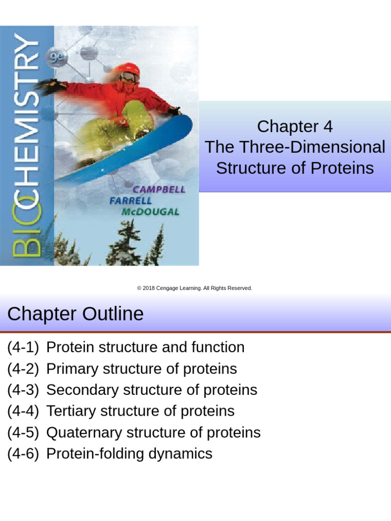 생화학4장,5장 | PDF | Protein Structure | Beta Sheet