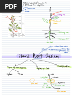 Activity Sheet Where Do Plants Live | PDF | Plants | Habitat
