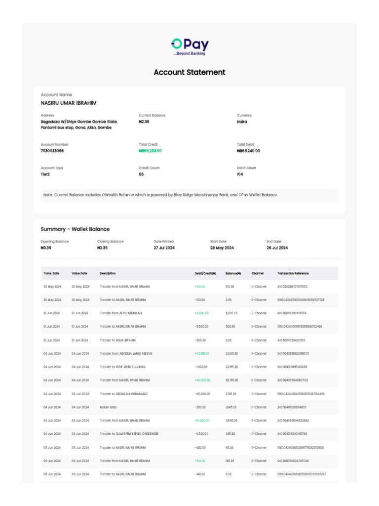 Account Statement for Nasiru Umar Ibrahim | PDF | Debits And Credits ...