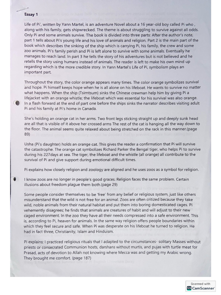 Life of Pi Essays | PDF