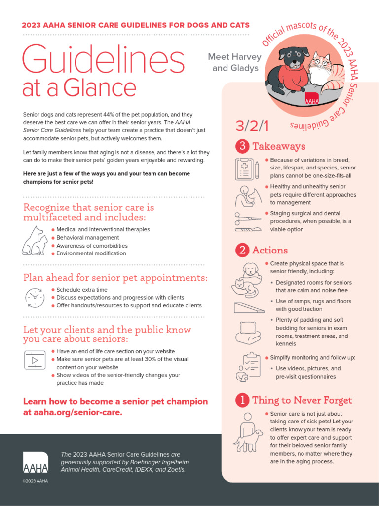 Senior Care Guideline 321 Sheet | PDF | Pet | Animals And Humans