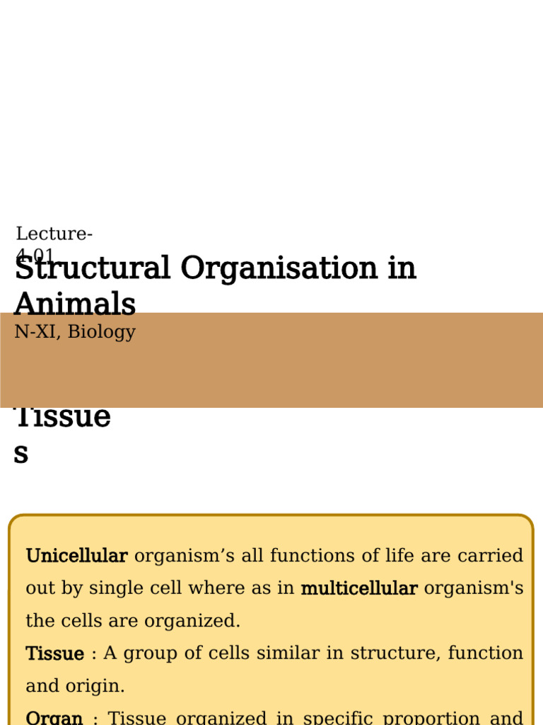 Epithelial Tissue Notes | PDF | Epithelium | Tissue (Biology)