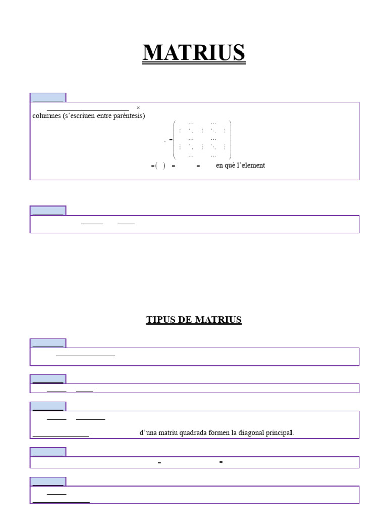 1.- MATRIUS (resum teoria) | PDF