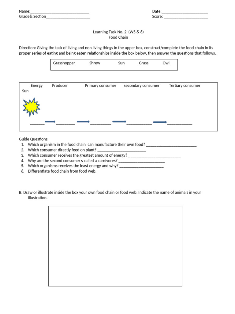 Learning Task No. 2 (W5_Q4) | PDF