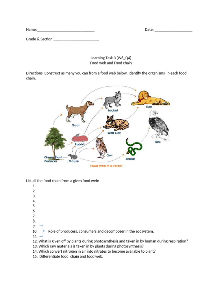 Learning Task No. 3 (W6 - Q4) | PDF