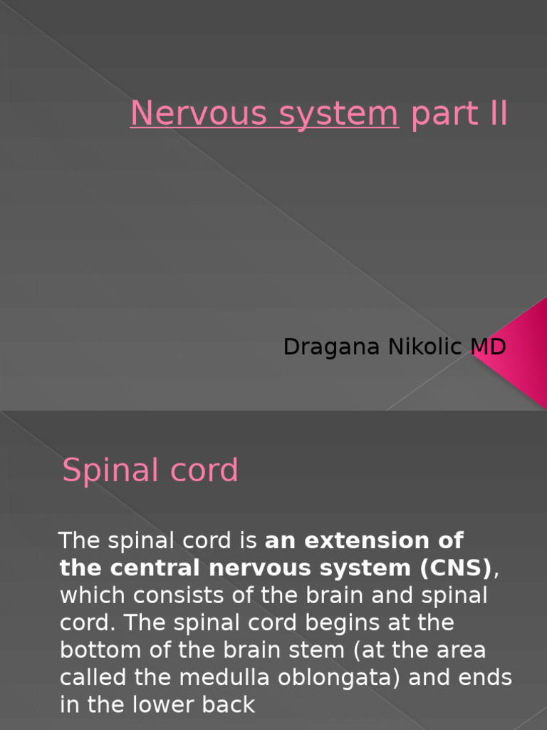 Nervous System Part II | PDF | Myelin | Nerve