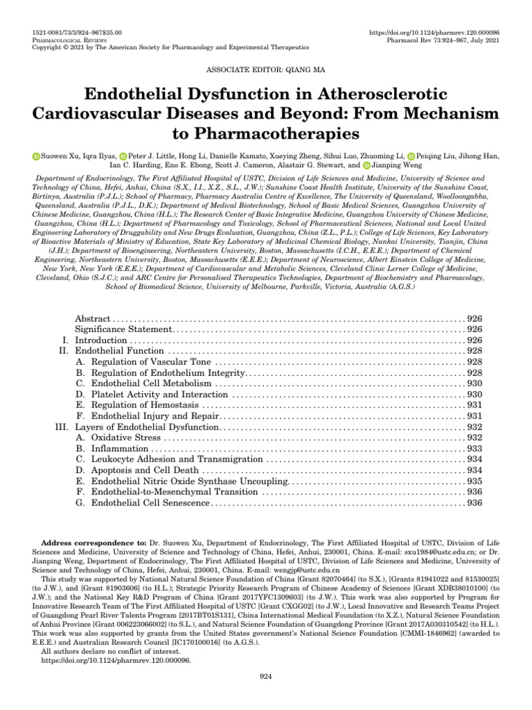 Endothelial Dysfunction in CAD | PDF | Endothelium | Blood Vessel