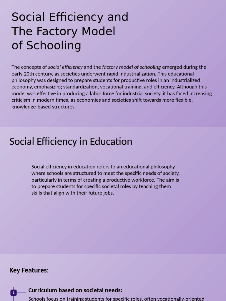 Social Efficiency in Schooling Models | PDF | Curriculum | Standardized ...
