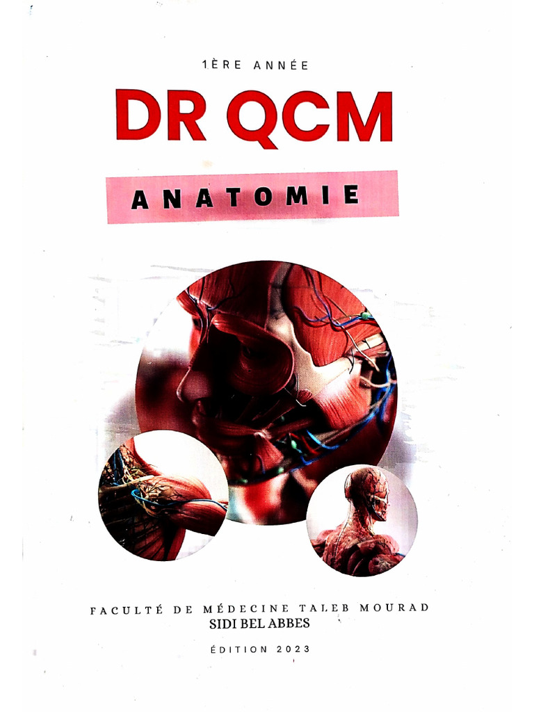 Anatomie | PDF