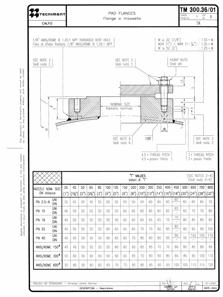 207 - TM300 - 36 - 01 - Pad Flanges | PDF