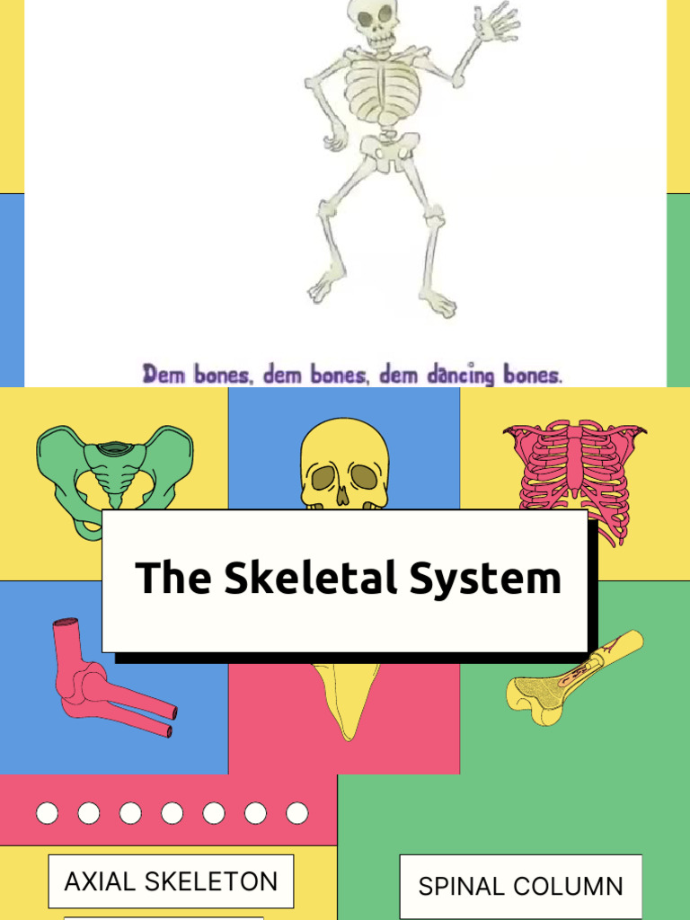 The Skeletal System Education Presentation in Green Yellow Simple ...