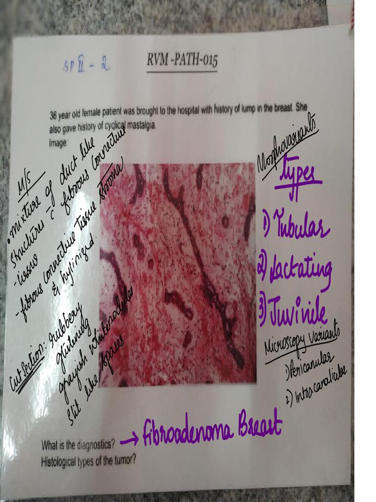 Path Charts With Key (EDITED) | PDF