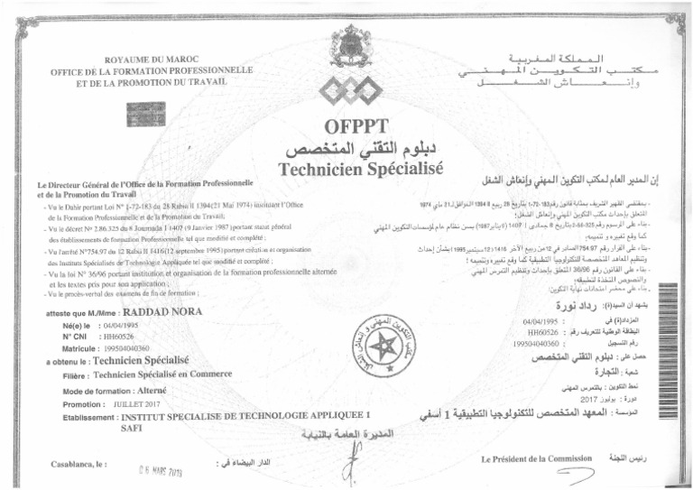 Diplome | PDF