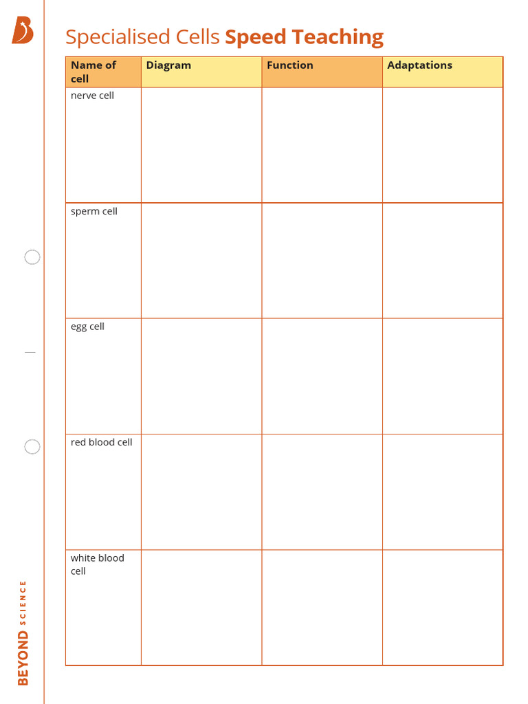 Specialized Cells Overview and Functions | PDF | Cell (Biology ...