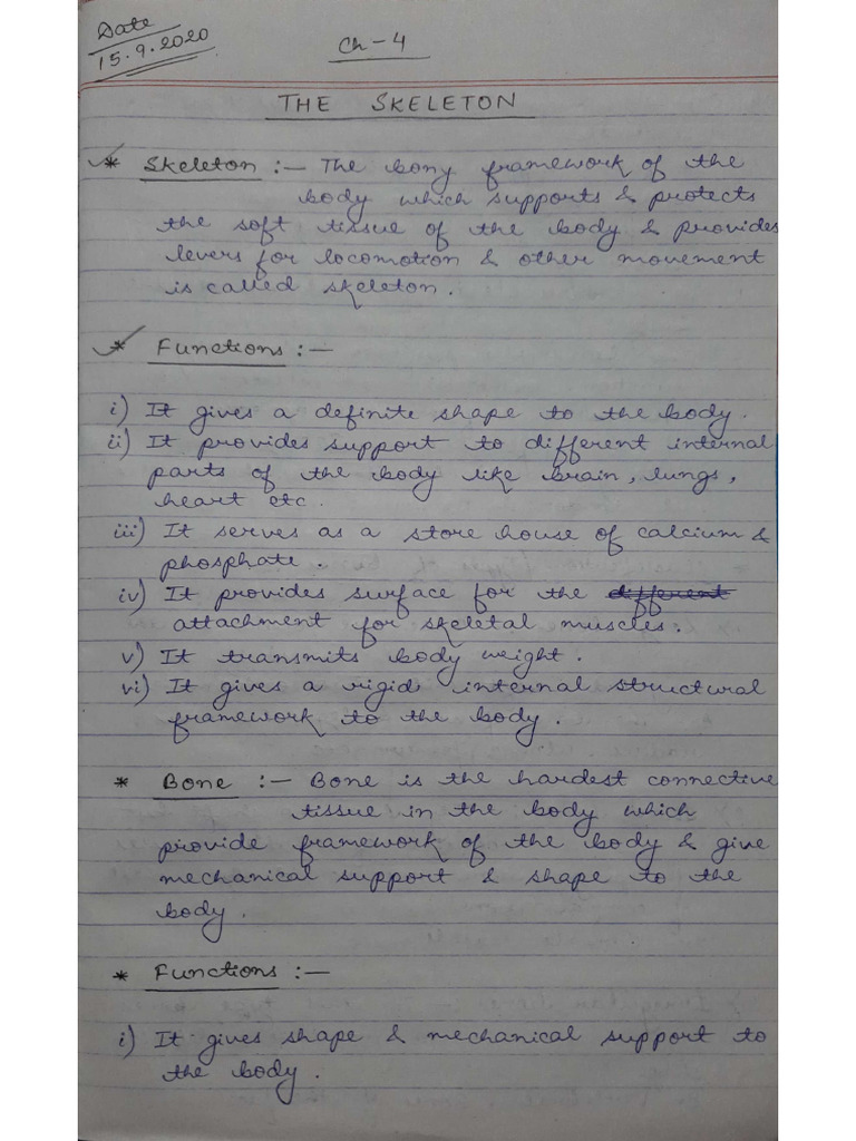 Hap-The Skeleton | PDF