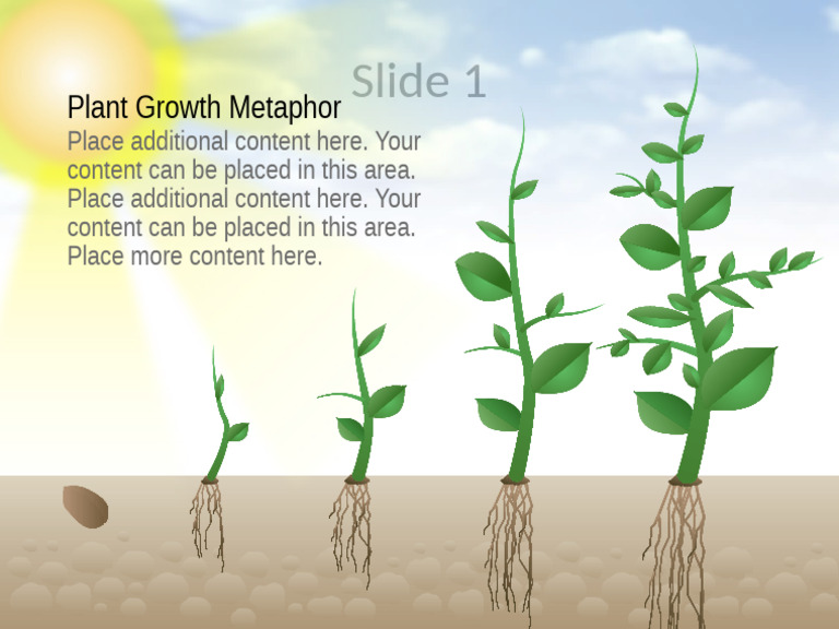 Plant Presentation | PDF