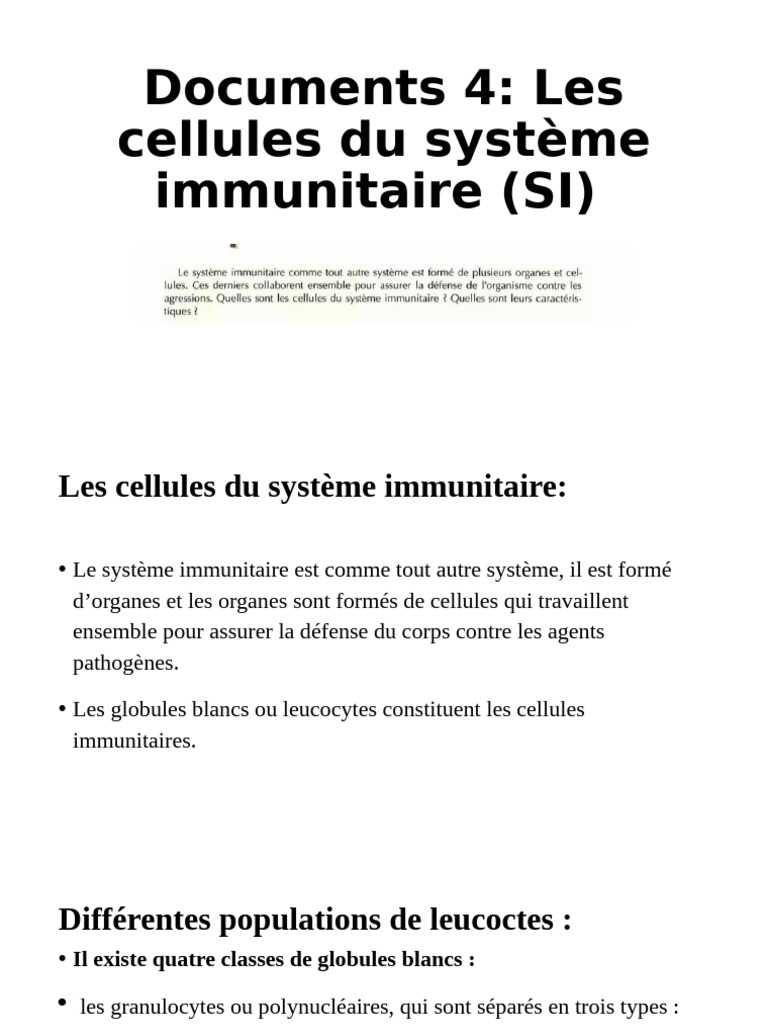 Chapitre 6 Documents 4 | PDF | Globule blanc | Système immunitaire